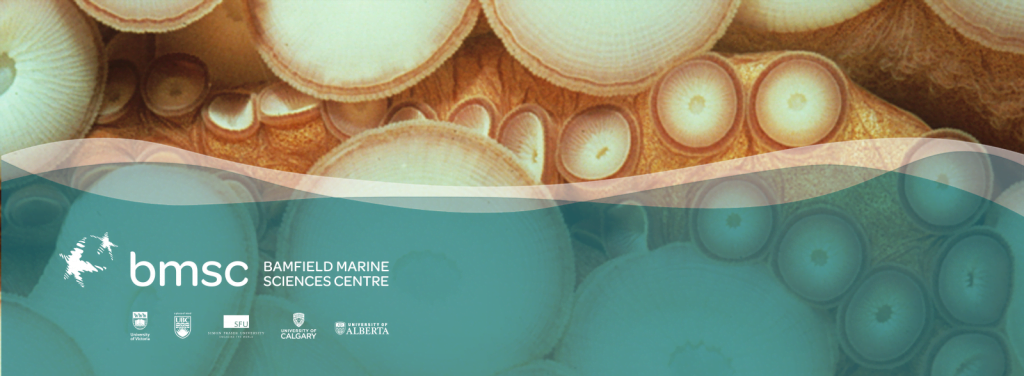 The Wave | Bamfield Marine Sciences Centre